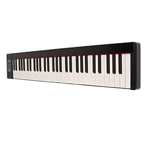 Portable Electric Piano, Touch Sensitive 61 Keys Full Size App ...