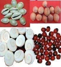 SaiCraft Maha Lakshmi/Luxmi Puja Kit- (11 Original Gomti Chakra, 11 ...