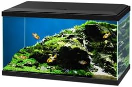 Ciano Aqua 60 LED aquarium, 58L, Black : Amazon.co.uk: Pet Supplies
