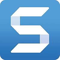 Snagit 2023 - Screen Capture & Image Editor [PC/Mac Online Code ...