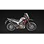 Hero MotoCorp XPULSE 210 DSSS (OBD2B) Motorcycles/Bike Alpine Silver ...