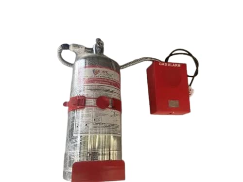 Clean Agent Cylinder Fire Suppression System Service, Capacity: 2kg ...