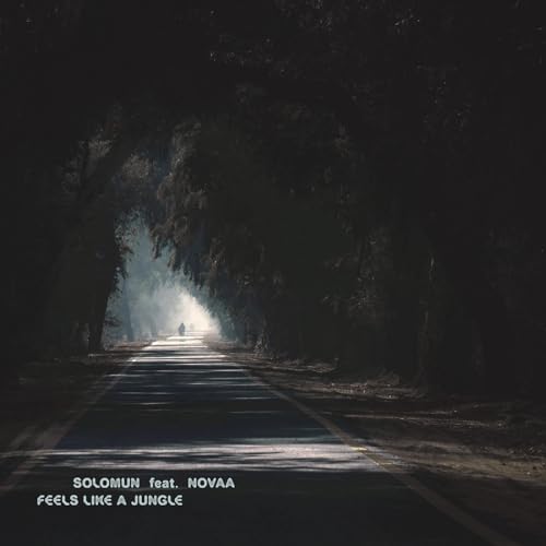 Spiele Feels Like A Jungle von Solomun & NOVAA auf Amazon Music ab