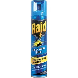 Raid Fly & Wasp Killer 300ml by Raid : Amazon.co.uk: Garden