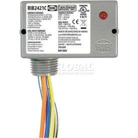 Amazon.com: RIB Enclosed Relay RIB2421C, 10A, SPDT, 24VAC/DC/120-277VAC ...