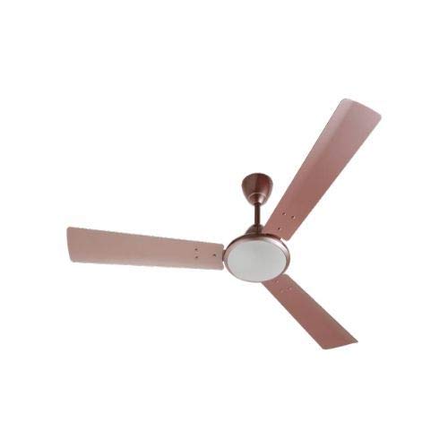 Polycab Cresta 1200-mm High Speed Decorative Ceiling fan (Pear Brown ...