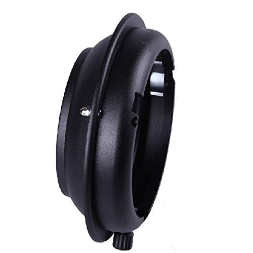 FOMITO Product Guide: 15 Best Things to Buy from FOMITO (June 2025 ...