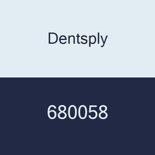 Amazon.com: Dentsply 680058 Lucitone 199 Repair Material Powder, 1 lb ...