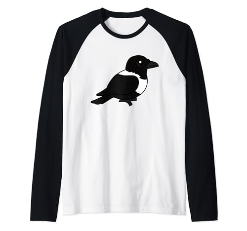 The Pied Crow: A Striking and Clever African Corvid