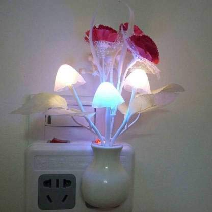 Buy S&P TechoWorld Electric Flower Pot Shape Auto Day/Night Sensor and ...