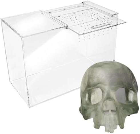 Amazon.com : Tarantula Enclosure XL with Clear Skull Reptile Hide Great ...