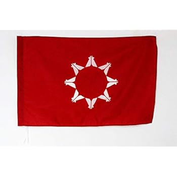 Amazon.com : AZ FLAG Oglala Sioux Tribe Flag 18'' x 12'' Cords - Oglala ...