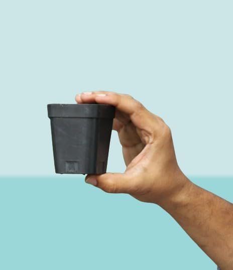 3 inches Nursery 3 inch Plastic Nursery Seed Seedling Germinating Pots ...