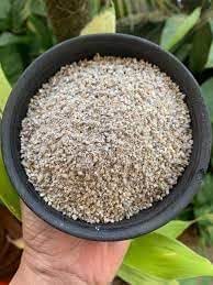 RAINBOW PANTRY Bajra Daliya/Pearl Millet Unpolished Millets | Gluten ...