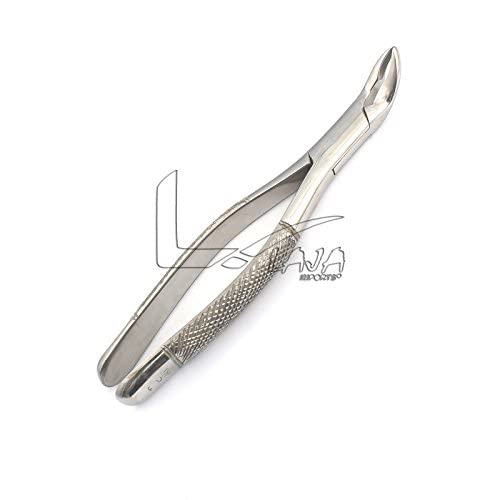 Amazon.com: LAJA IMPORTS Dental Forceps 203 Lower ANTERIORS ...