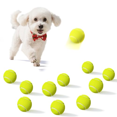 Small Dog Balls – The 15 best products compared - Wild Explained