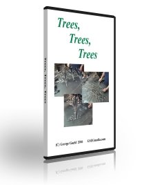 Amazon.com: Trees, Trees, Trees (DVD 75 minutes) : Movies & TV