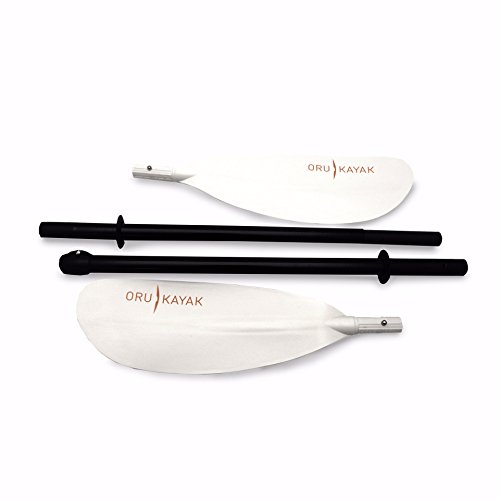 How to Choose a Kayak Paddle You Can Count On - Wilderness Today