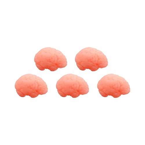 Amazon.com: Miniature Human Brain Replica - 1:12 Scale for dollhouse ...