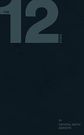The Twelve Steps for Crystal Meth Addicts: NYCMA Books: 9798853537286 ...