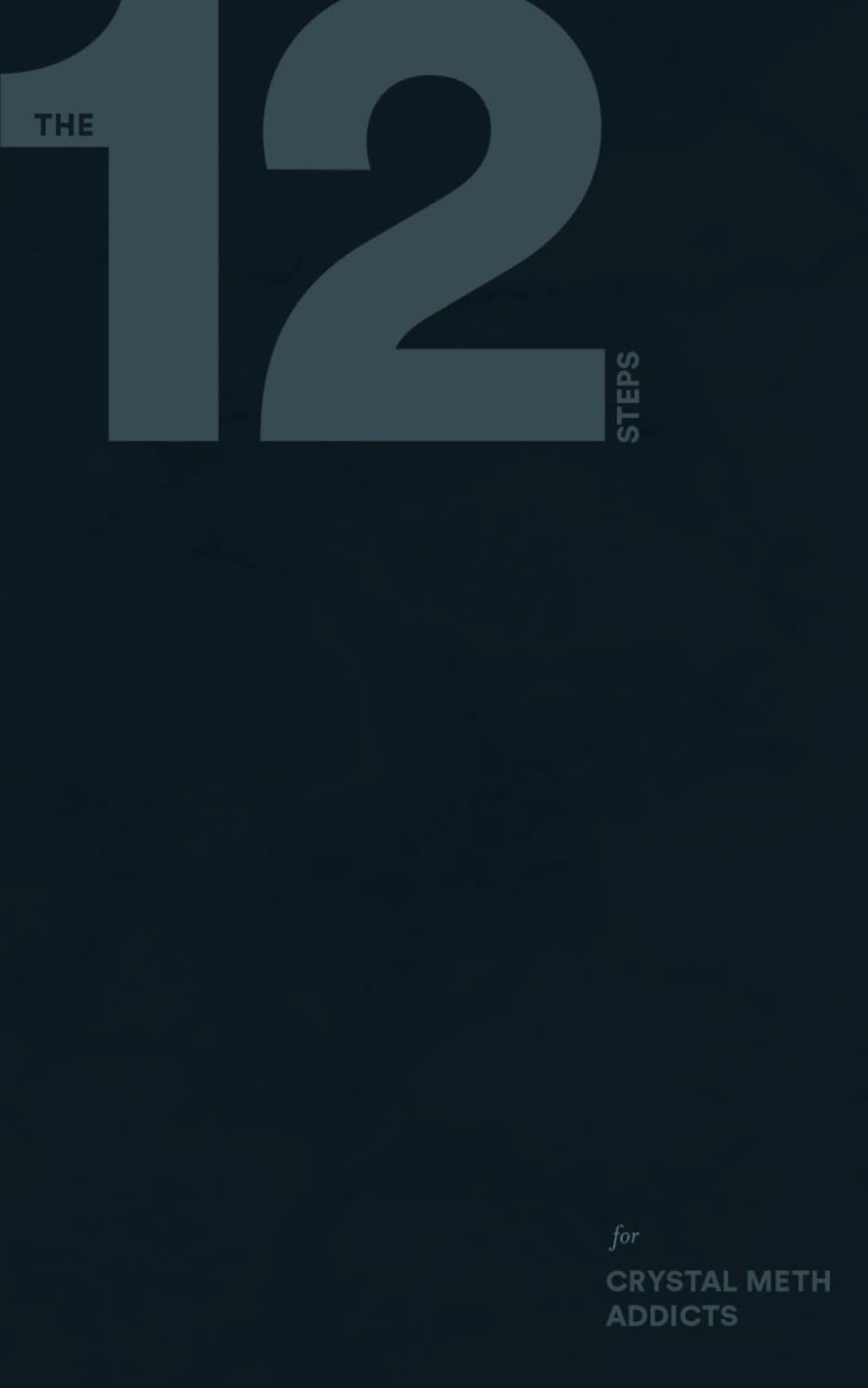 The Twelve Steps for Crystal Meth Addicts: NYCMA Books: 9798853537286 ...