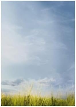 Briefpapier | Jever | 20 Blatt Natur Motivpapier DIN A4 : Amazon.de ...