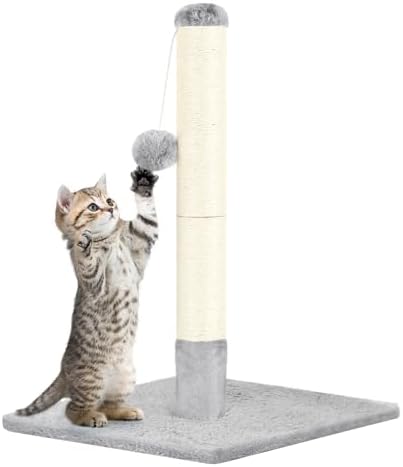 Cat Scratcher Post Small Cat Scratch Pole with Premium Sisal Rope Cute ...