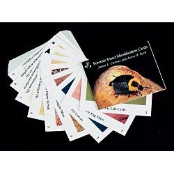 Amazon.com: Forensic Insect Identification Cards, Deck/52 : Toys & Games