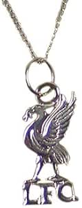 Amazon.com : Liverpool FC Pendant & Chain - LFC - Football Gifts ...
