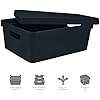 Amazon.com - Simplify Medium Vinto Storage Box | Click Tight Lid ...