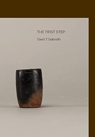 The First Step: Galbraith, Dr David Tyndale: 9781729845196: Amazon.com ...