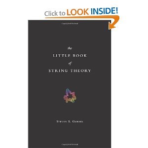 The Little Book of String Theory byGubser: Gubser: Amazon.com: Books