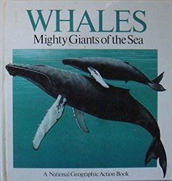 Amazon.fr - WHALES, Mighty Giants of the Sea, National Geography Pop-Up ...