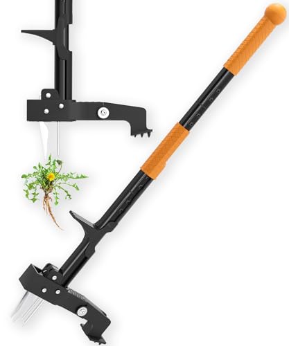 Tips For Pulling Weeds From Your Lawn - Inside The Yard