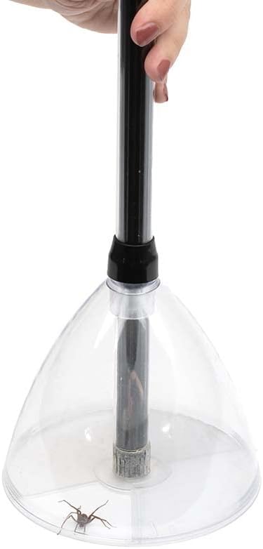 Bug Away Humane Insect Catcher for Viewing and Removing Creepy Crawlies ...
