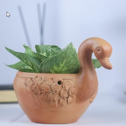 Khavi Arts Premium Artisanal Terracotta Clay Swan Planter for Indoor ...