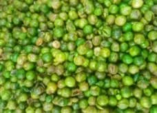 Green Peas Fry (500Gm) : Amazon.in: Grocery & Gourmet Foods