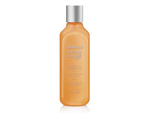 Los 5 Mejores Modelos De Shampoo Para Jacuzzi En Walmart