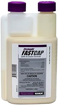 Amazon.com: Onslaught Fastcap Spider Scorpion Insecticide Kills ...