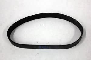 Horizon T101 Motor Drive Belt Part Number: 1000109551 : Amazon.in ...