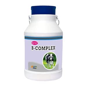 Super Pure B-Complex Vitamin-B 5Ltr | Vitamin B Tonic for Cows, Goats ...