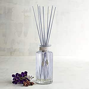 Pier 1 Imports Reed Diffuser Set (Sweet Anisette) : Amazon.in: Home ...