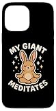 ・ブランド:Kawaii Pet Animal Humor (Giant Rabbit)・製造元:アマゾンによるマーチャンダイジング・モデル:T1ZDQNQDWK9JPIPHONE_13_PRO_MAX・製造元/メーカー部品番号:T1ZDQ...