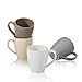 Amazon.com: Sweese Porcelain Mugs - 16 Ounce (Top to the Rim) for ...