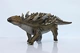 Saichania Dinosaur Facts - information about the dinosaur saichania