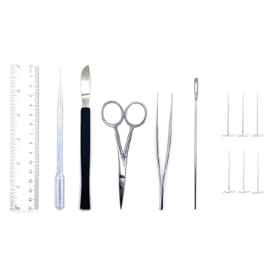 12 Piece Dissecting Kit in Disposable Bag Including Philippines | Ubuy