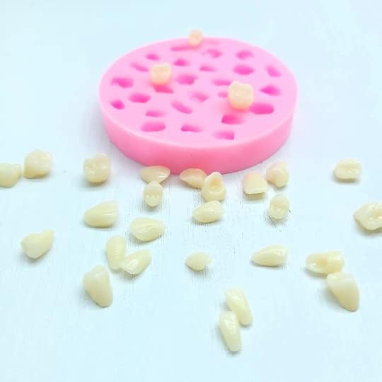 Multiple Cavity Tooth Silicone Mold - Create Realistic Imitation Human ...