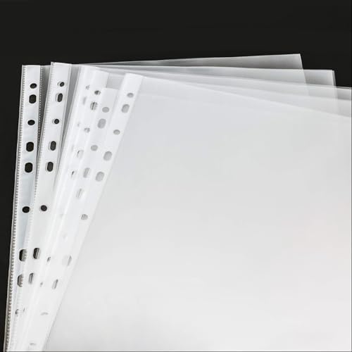 EVADOW 200PCS Clear A4 Punched Pockets, Plastic Sheet Protector for 11 ...