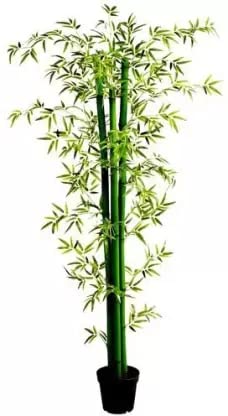 Buy BigBamboo1501 Artificial Bamboo Tree Pack of 1 PCS Online at Low ...
