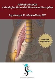 Understanding Psoas Muscle Abscess: Causes, Symptoms, And Treatment ...